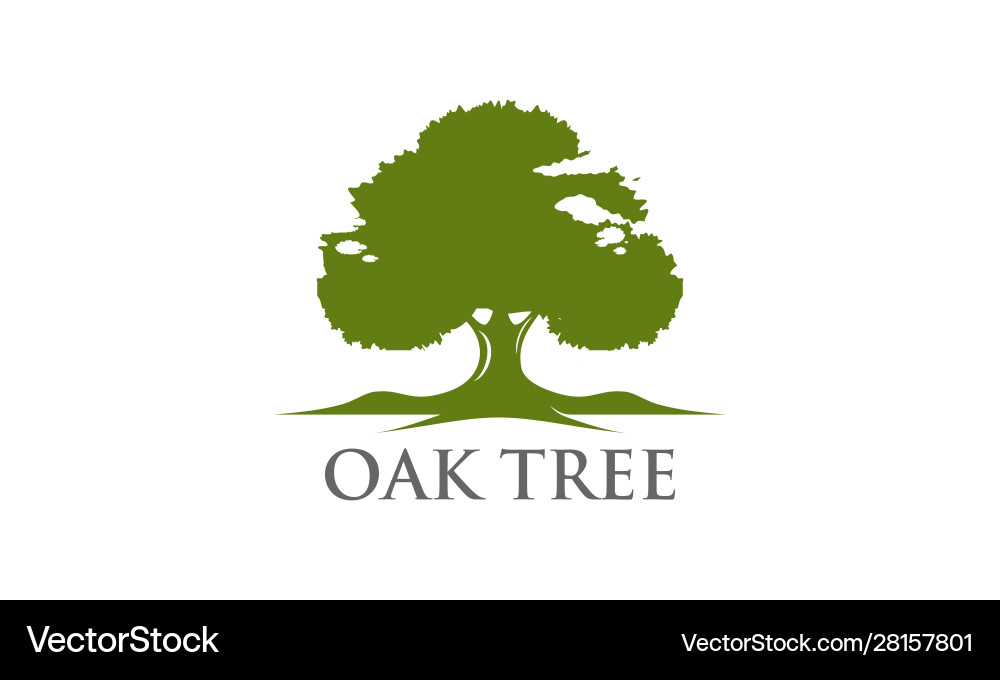 Green creative oak tree logo design symbol Vector Image