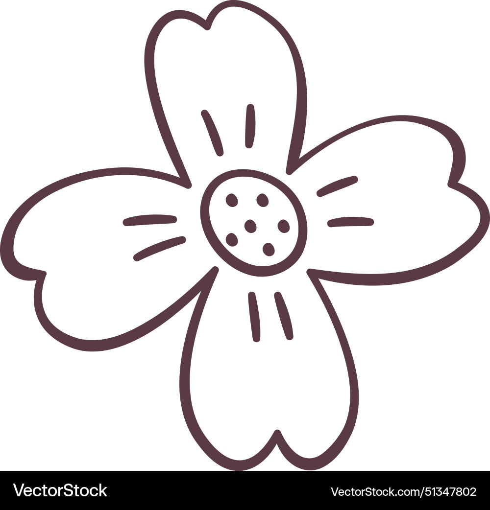 Flower head drawing Royalty Free Vector Image - VectorStock