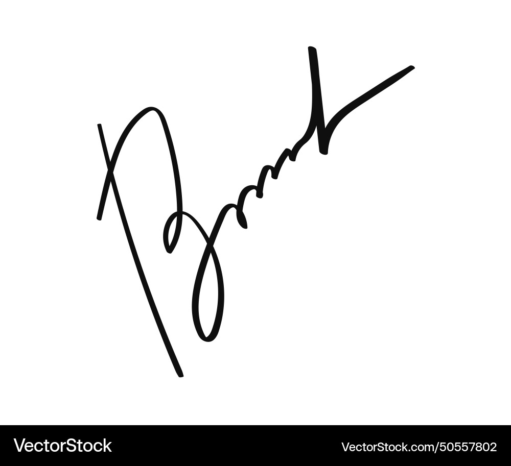 Hand drawn fictitious abstract autograph fake Vector Image