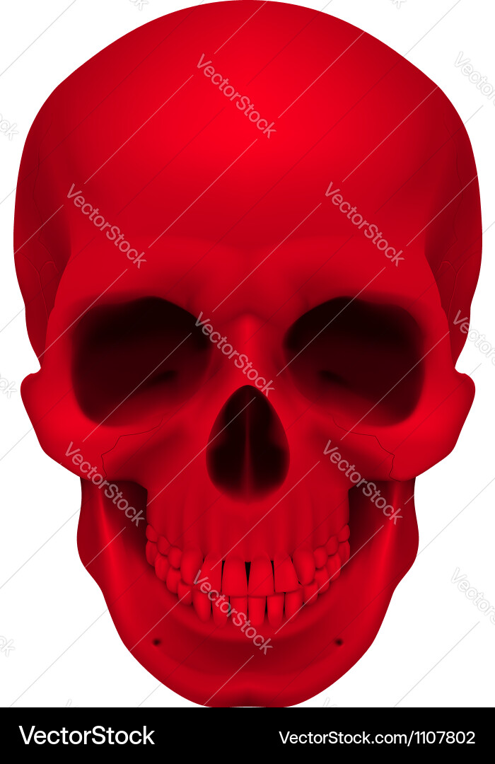 Red skull Royalty Free Vector Image - VectorStock