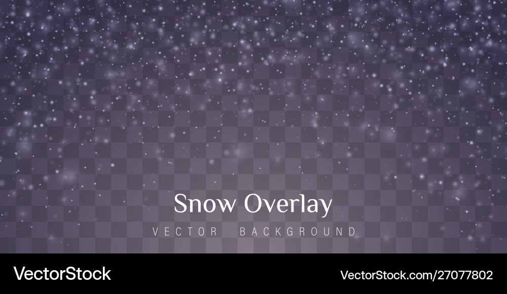 Snow transparent background Royalty Free Vector Image
