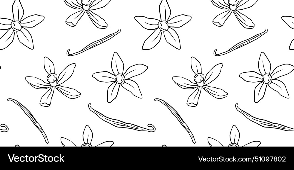 Vanilla pods and plant doodle seamless pattern Vector Image