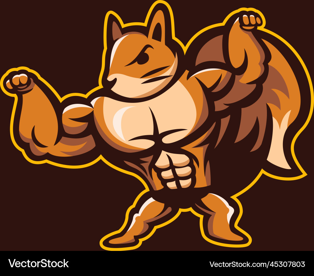 Buff bodybuilding squirrel Royalty Free Vector Image
