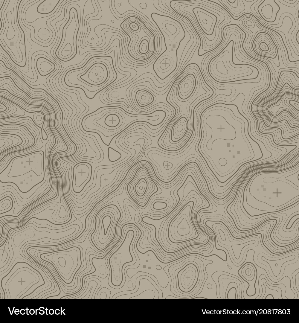 Seamless pattern topographic map background Vector Image