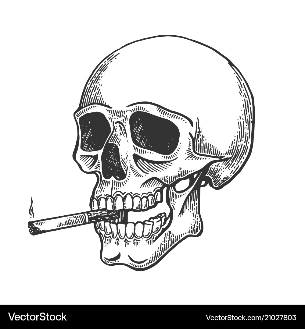 Smoking Skull Engraving - Scratch Board Royalty Free Vector