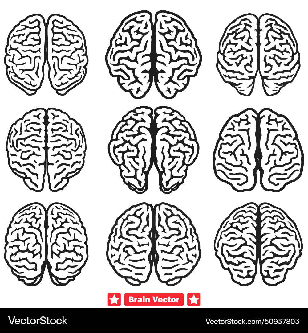 Thought patterns unveiled varied brain set Vector Image