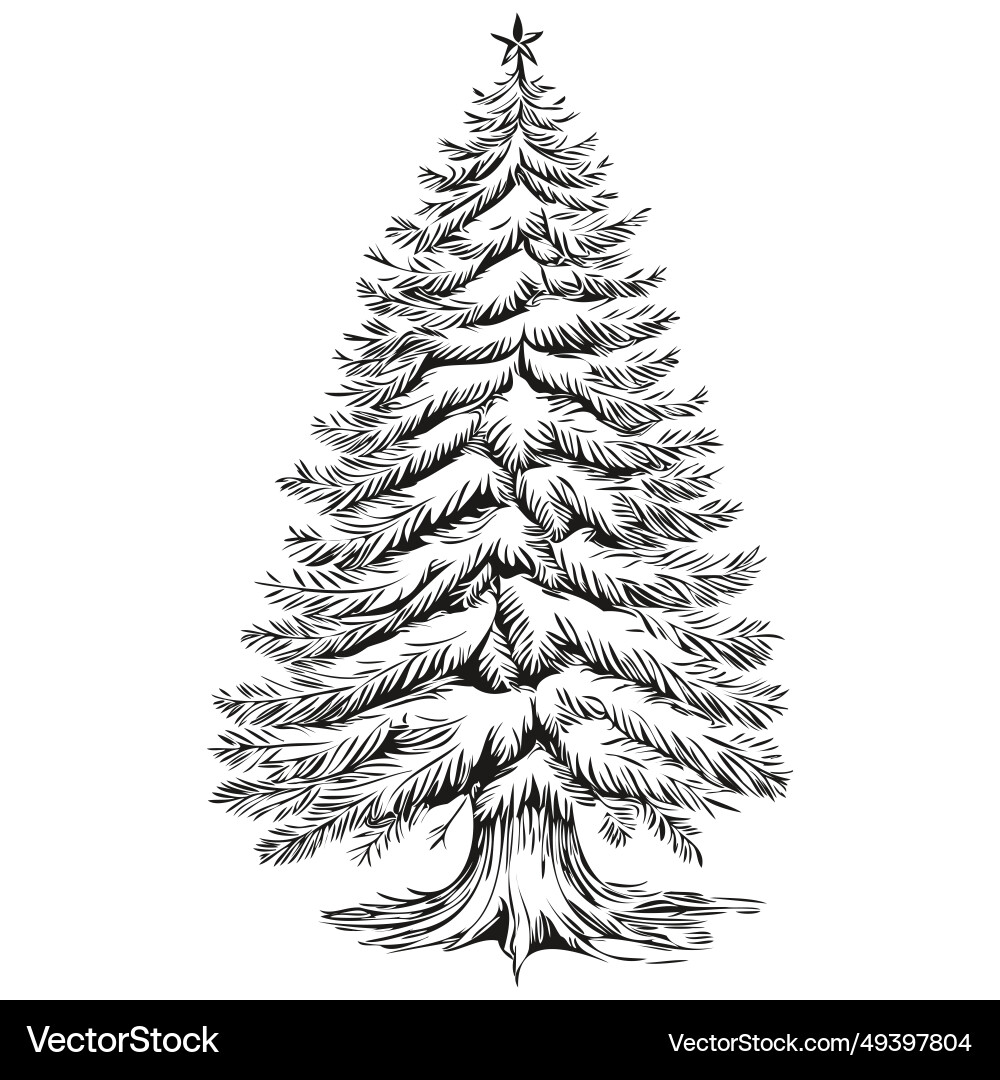 Vintage Christmas Tree Sketch Royalty Free Vector Image