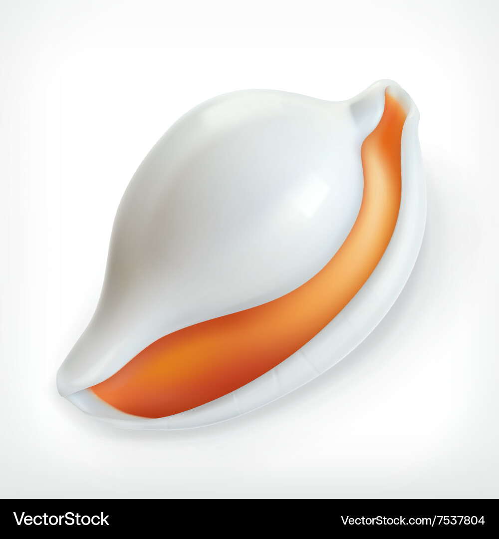 White shell icon Royalty Free Vector Image - VectorStock