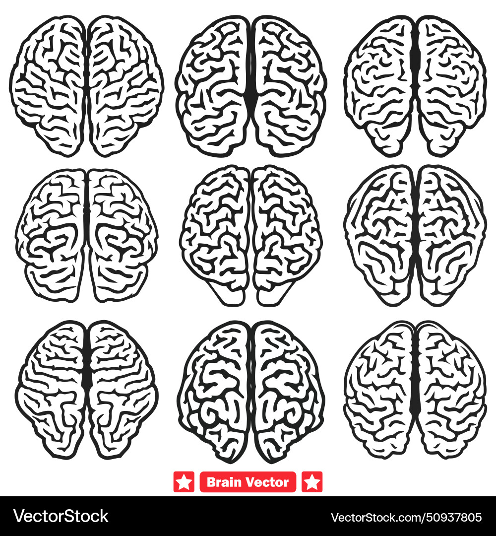 Cognitive canvas versatile brain collection Vector Image