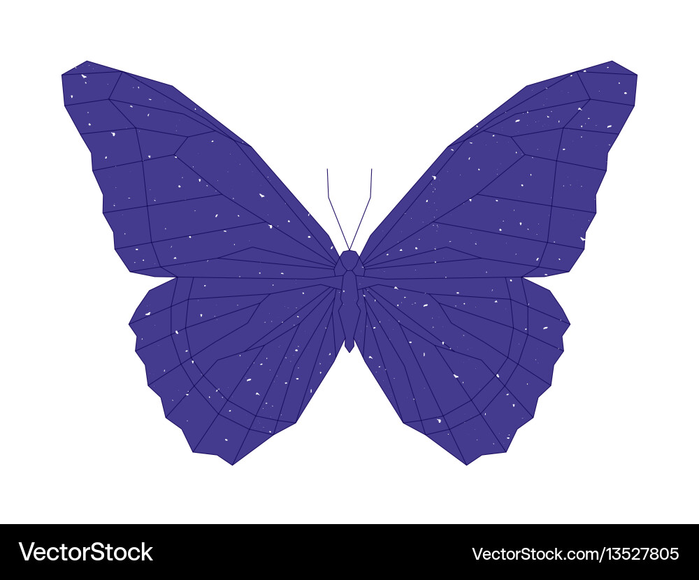 Polygonal Butterfly Royalty Free Vector Image - VectorStock