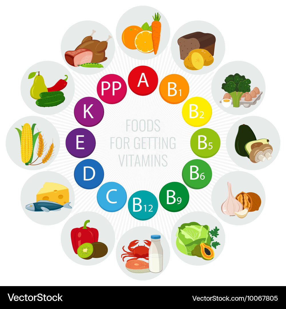 Vitamin food sources colorful wheel chart Vector Image