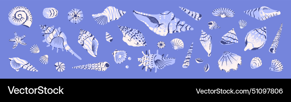 Exotic seashells set various ocean cockleshells Vector Image