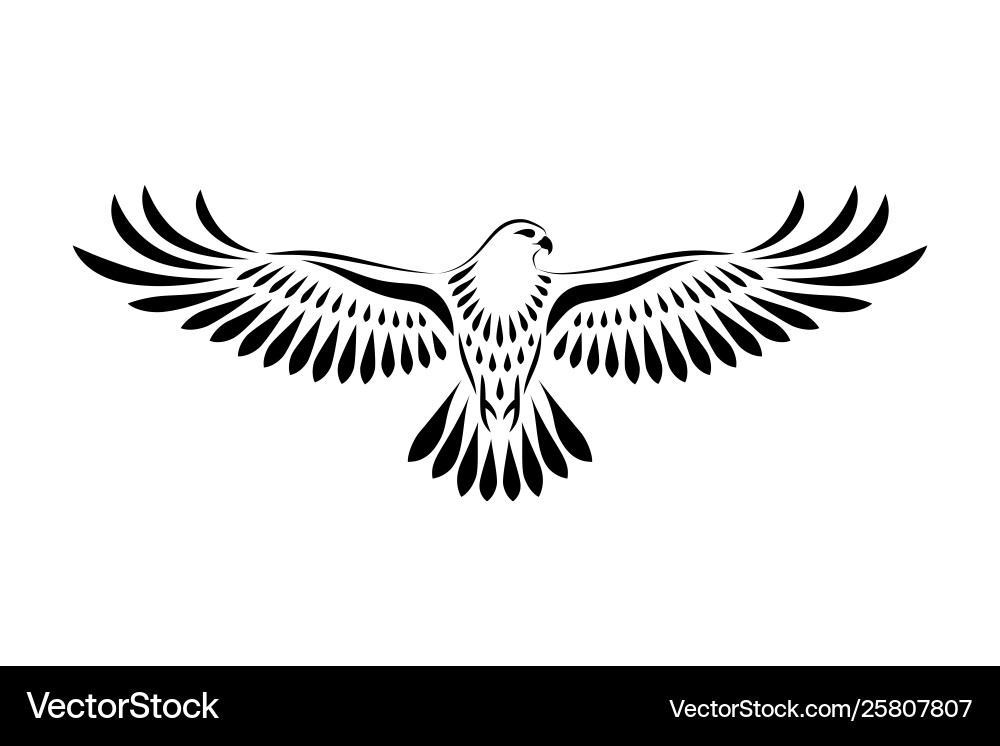 Engraving stylized hawk on white background Vector Image