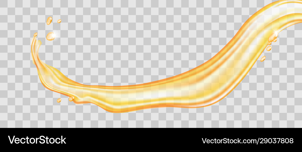 Oil splash isolated on transparent background Vector Image