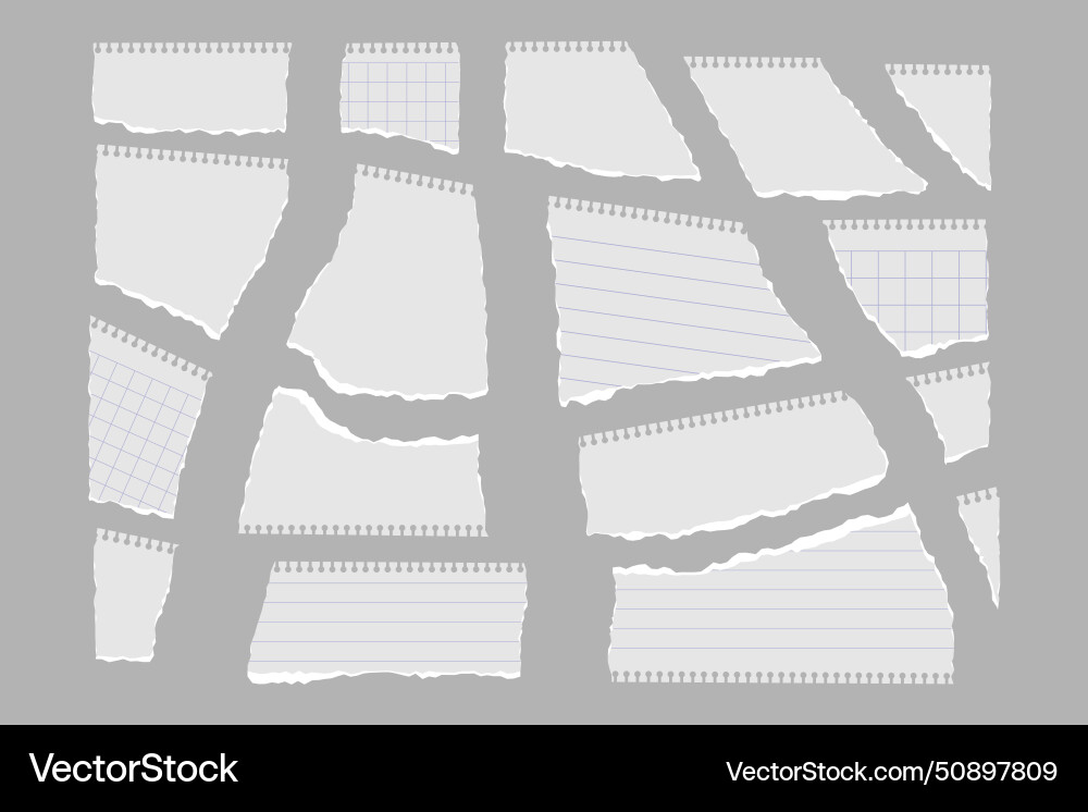 Pieces of torn note paper on grey background Vector Image