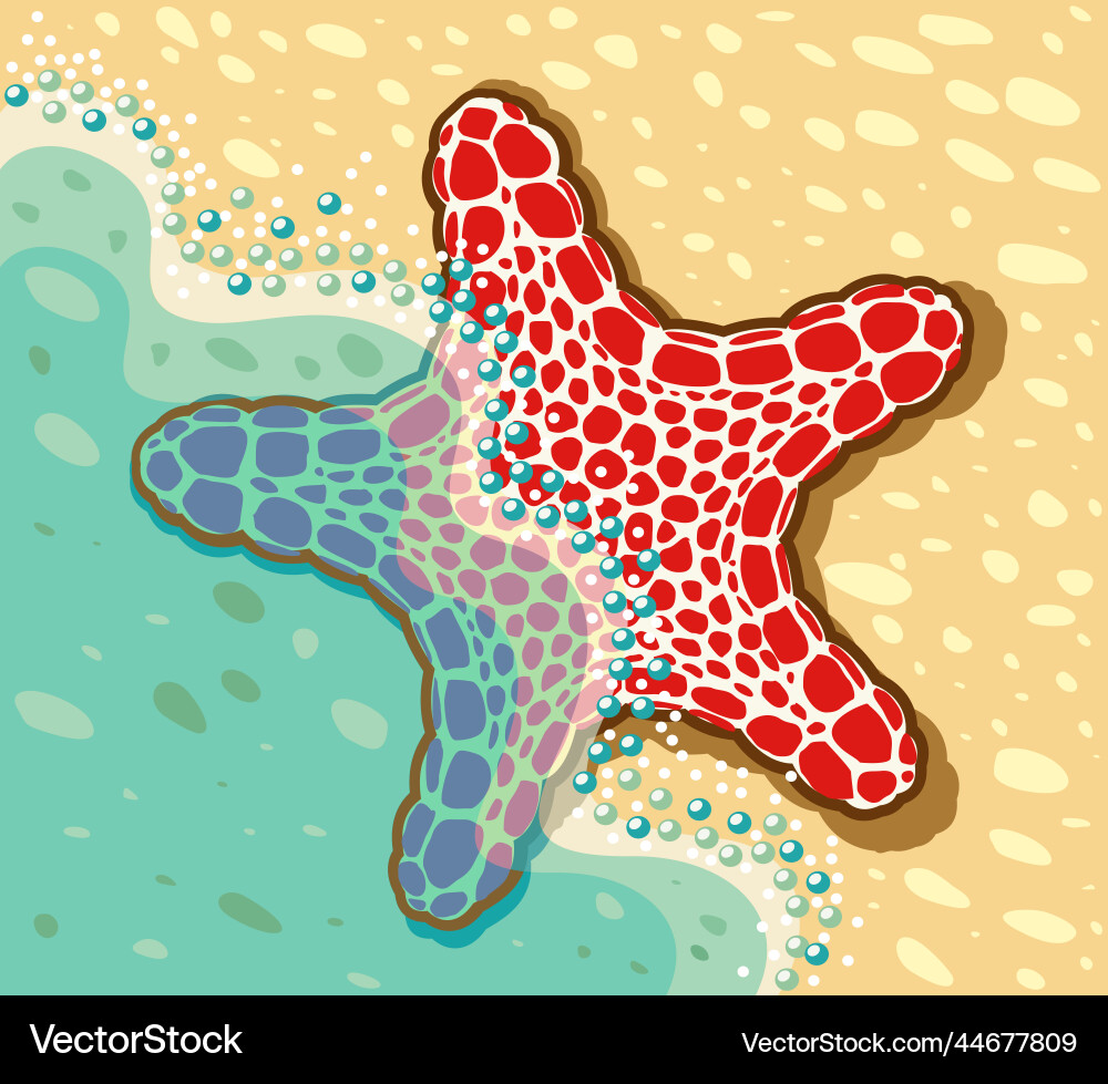 Sea star lying near the Royalty Free Vector Image