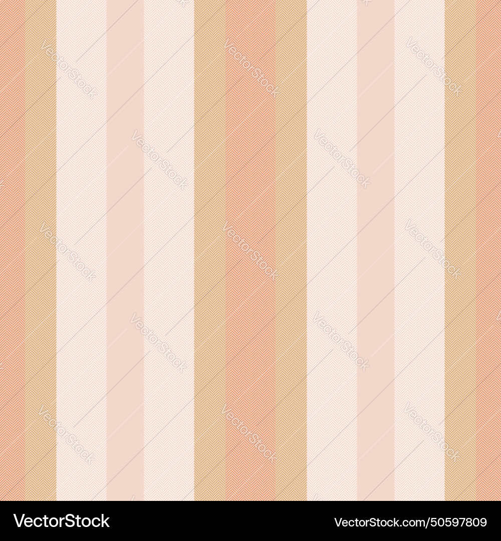 Vertical lines stripe pattern stripes background Vector Image