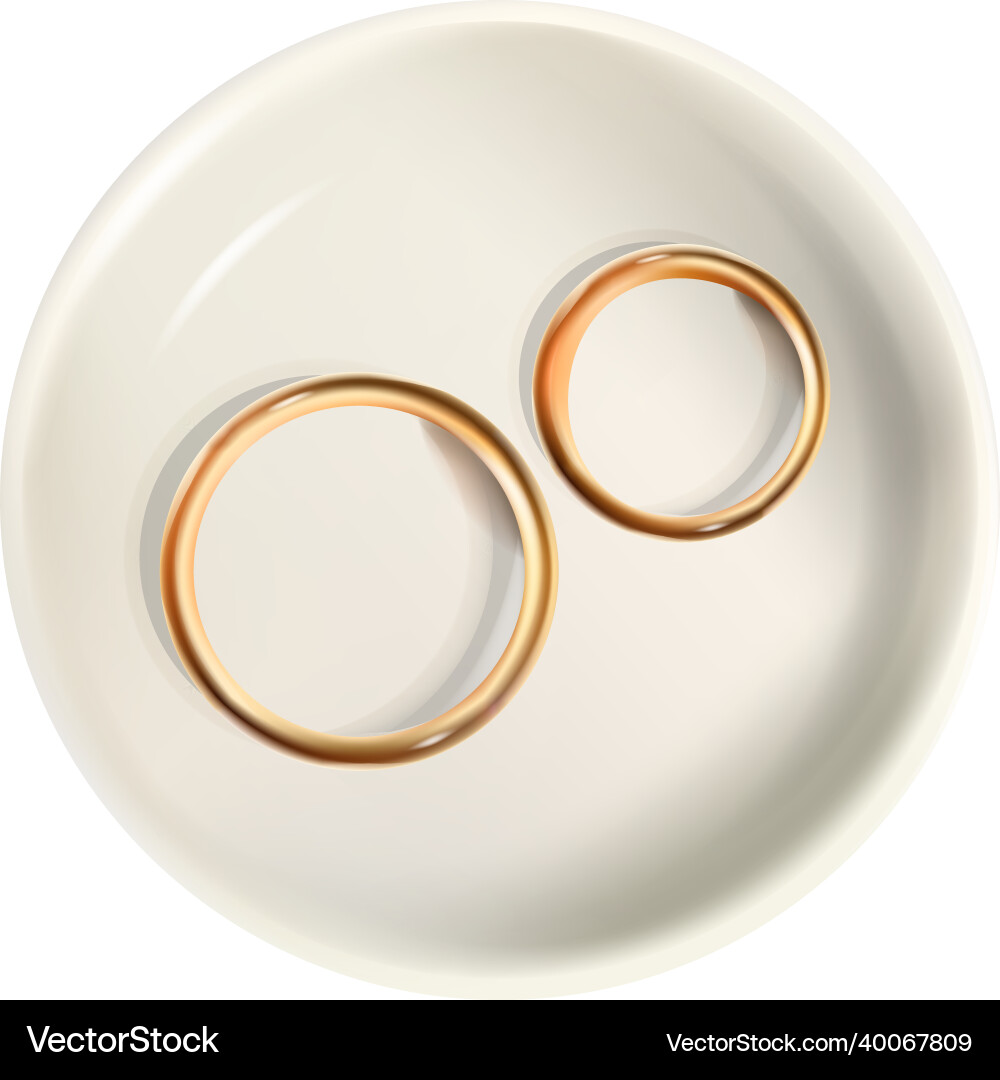 Wedding rings plate composition Royalty Free Vector Image