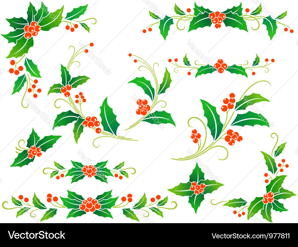 Christmas holly decoration Royalty Free Vector Image