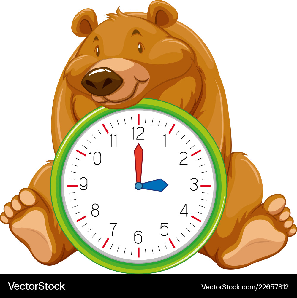 Cartoon bear on clock template Royalty Free Vector Image