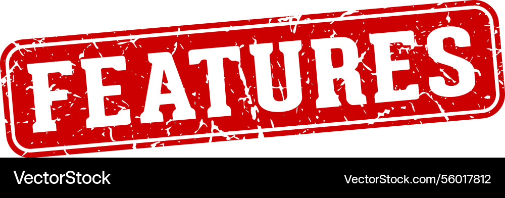 Features rectangular sign features stamp Vector Image