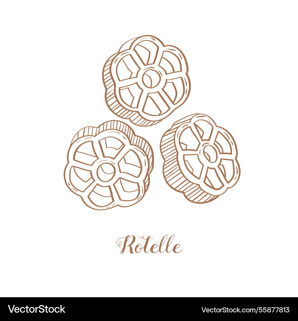Rotelle pasta sketch traditional italian food Vector Image
