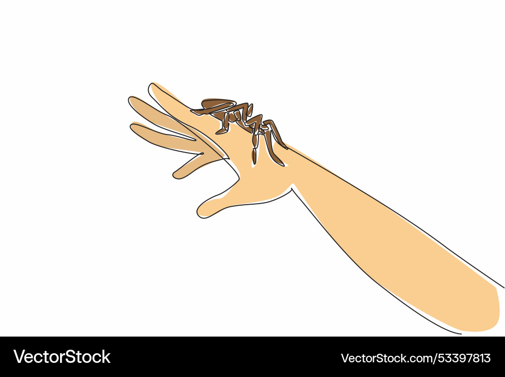 Single one line drawing big spider posing on hand Vector Image