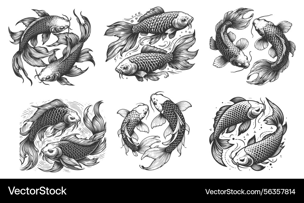 Koi fish engraving set collection Royalty Free Vector Image