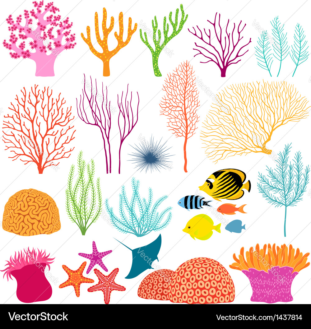 Underwater design elements Royalty Free Vector Image