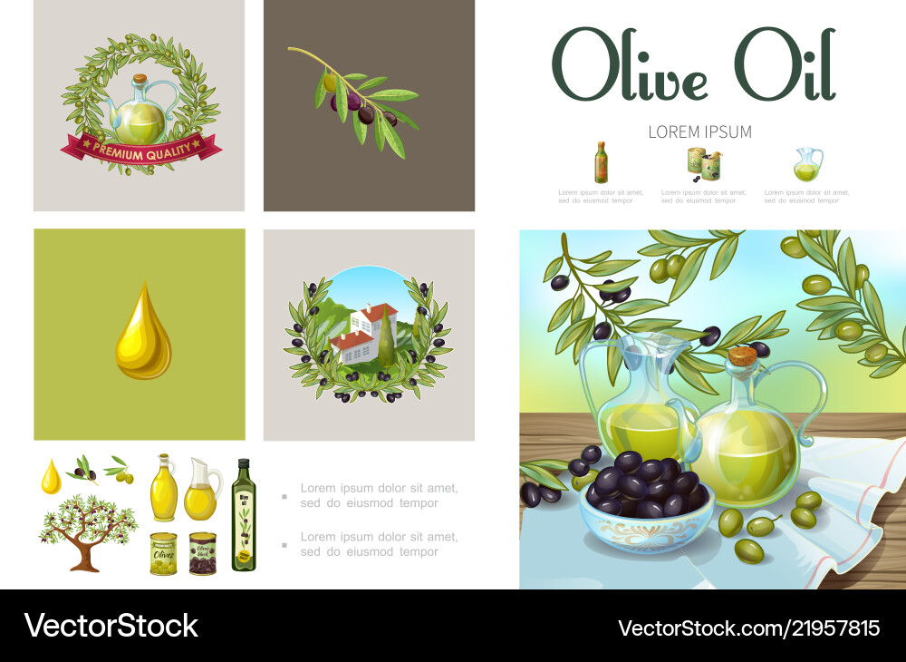Cartoon natural olive infographic template Vector Image