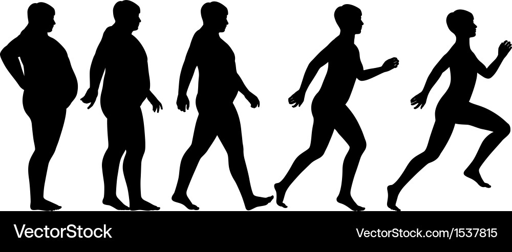 Fat to fit Royalty Free Vector Image - VectorStock