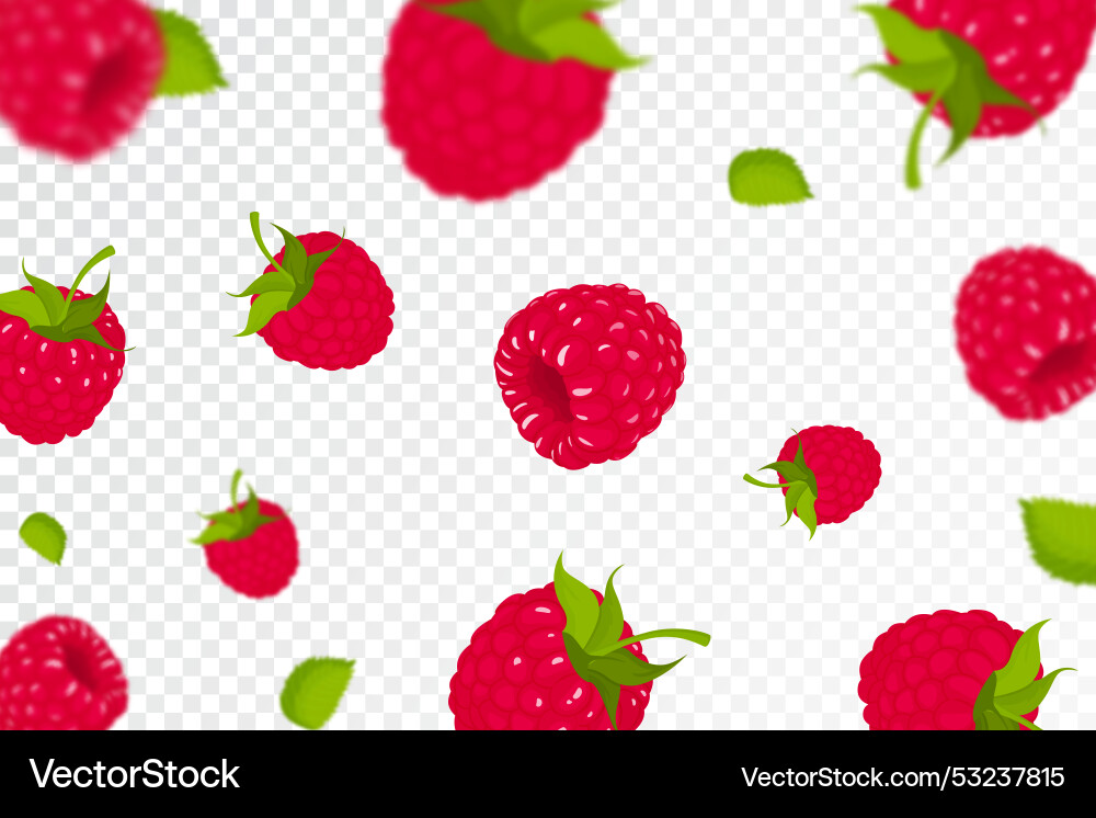 Raspberry background flying with green Royalty Free Vector