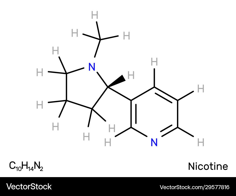Nicotine structural formula Royalty Free Vector Image