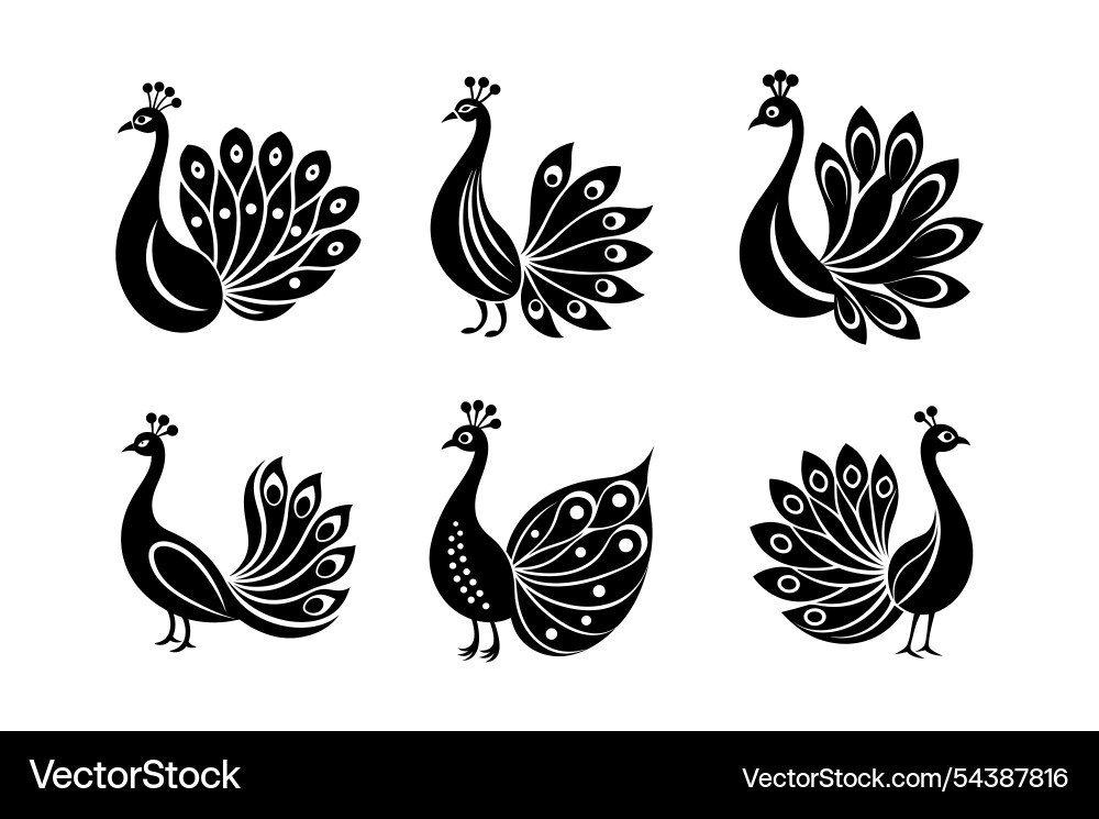 Peacock art Royalty Free Vector Image - VectorStock