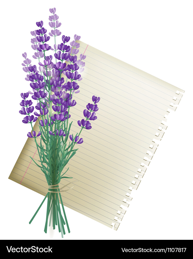 Lavender Royalty Free Vector Image - VectorStock