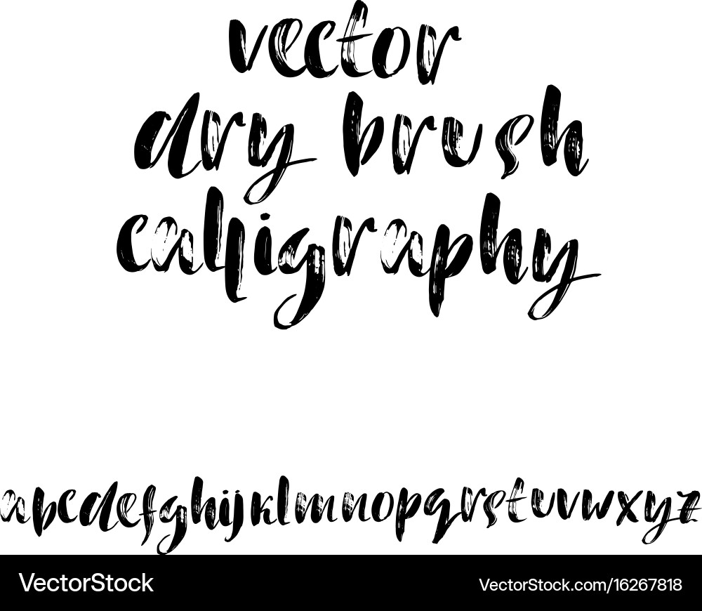 Hand drawn elegant calligraphy font modern brush Vector Image