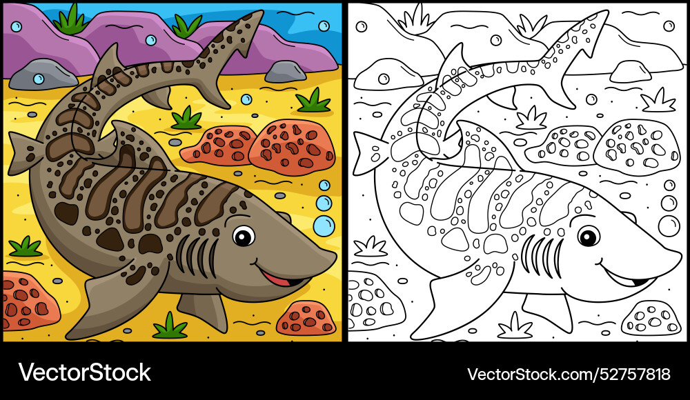 Leopard shark coloring page colored Royalty Free Vector