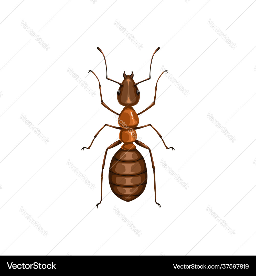 Ant insect pest control parasites extermination Vector Image