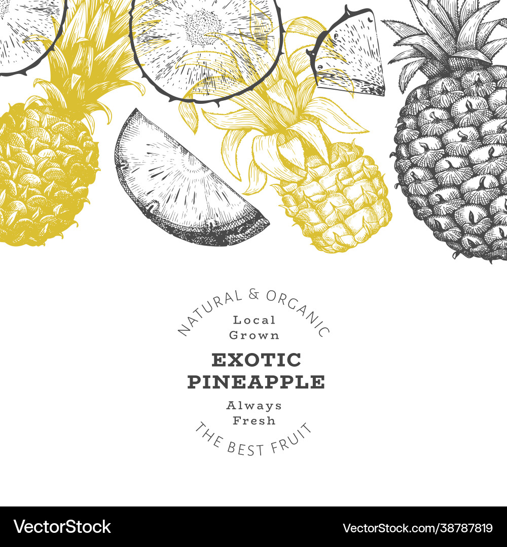 Hand drawn sketch style pineapple banner organic Vector Image