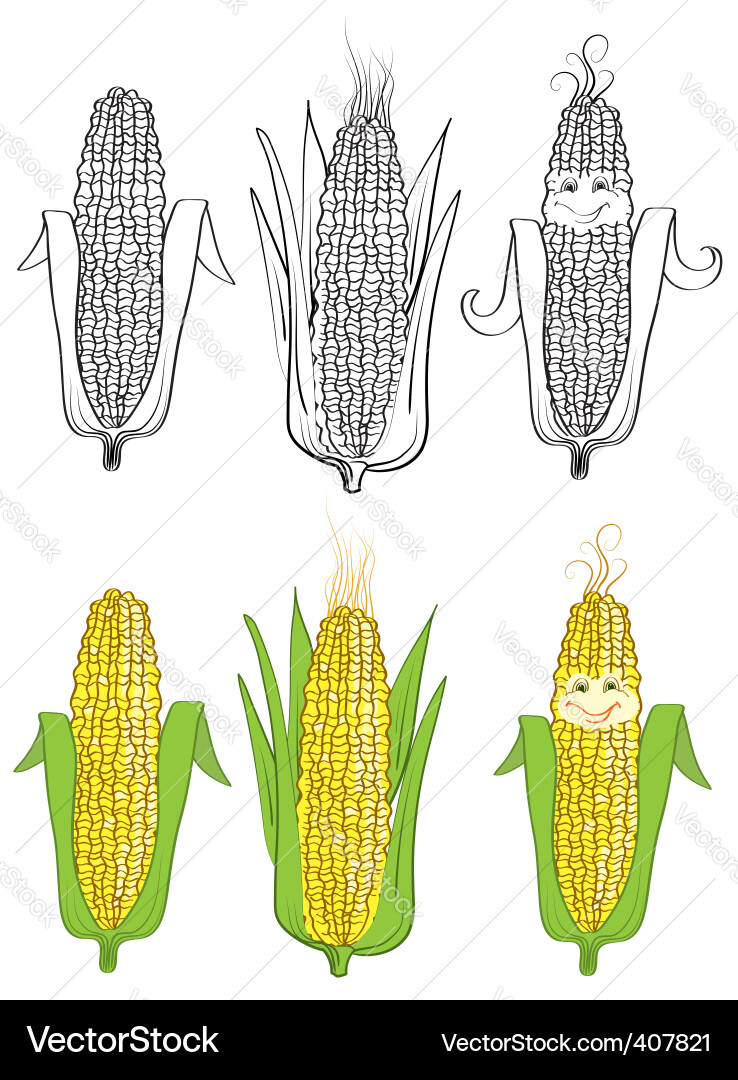 Corn cartoon Royalty Free Vector Image - VectorStock