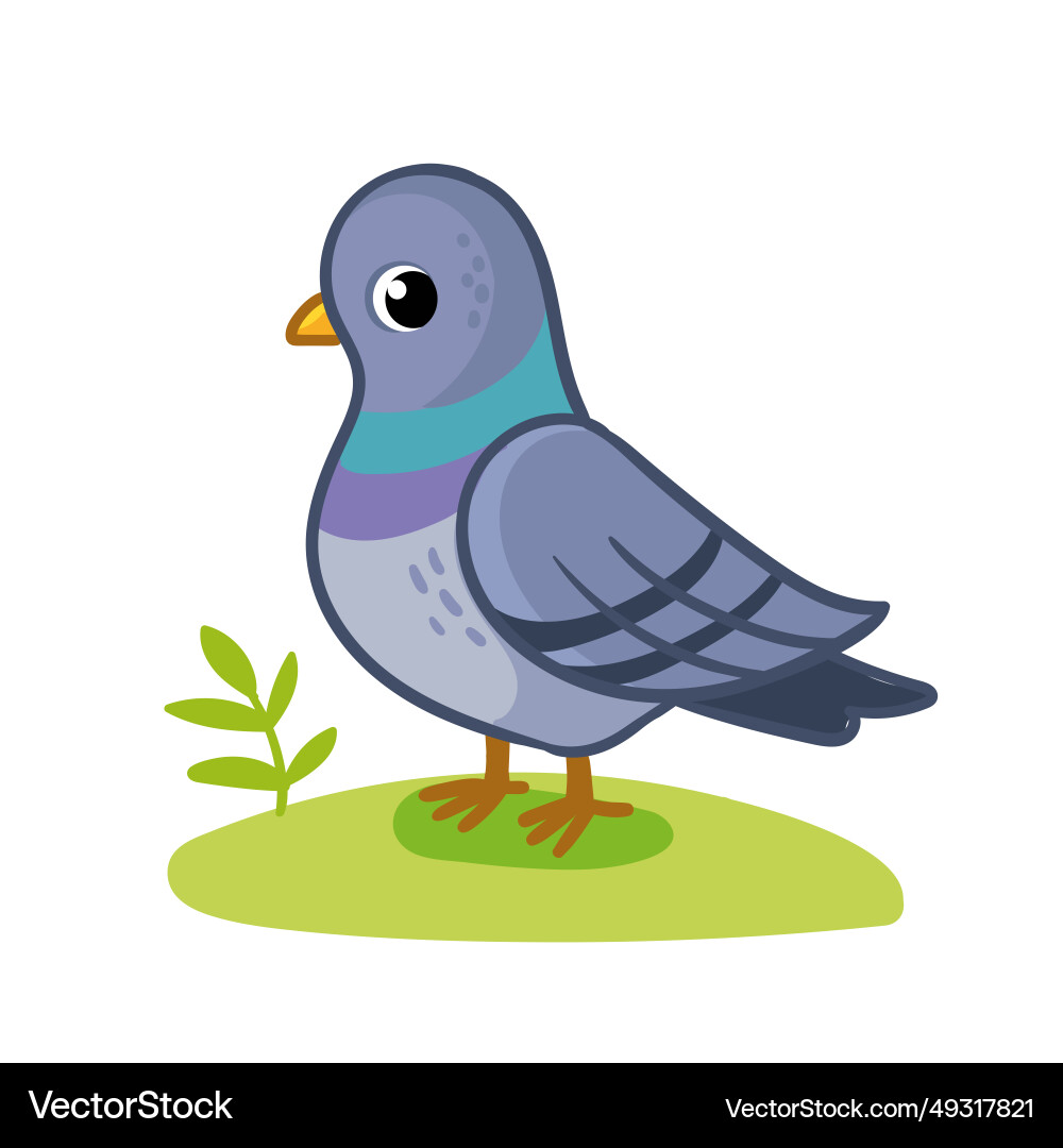 Cute pigeon sits on a green meadow bird Royalty Free Vector