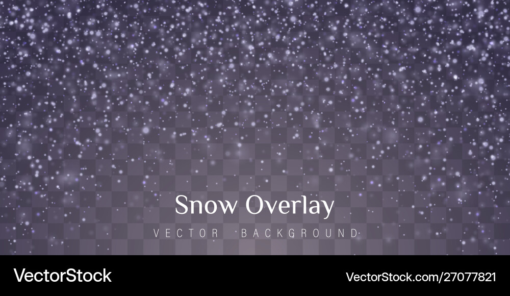 Snow transparent background Royalty Free Vector Image