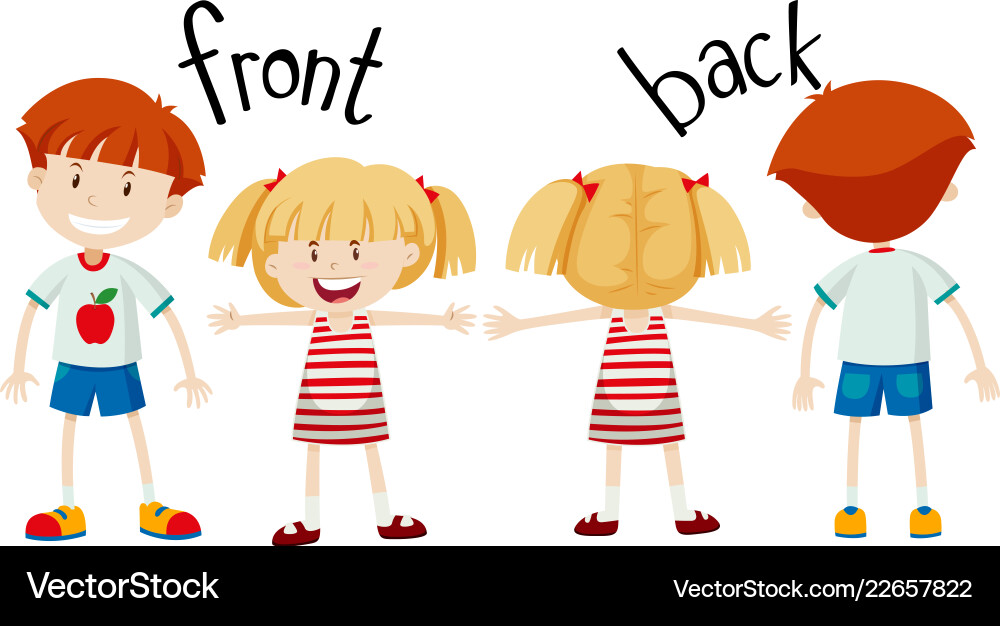 Front and Back Opposites Royalty Free Vector Image