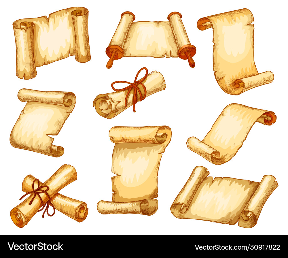 Parchment paper scroll manuscripts rolls sketch Vector Image