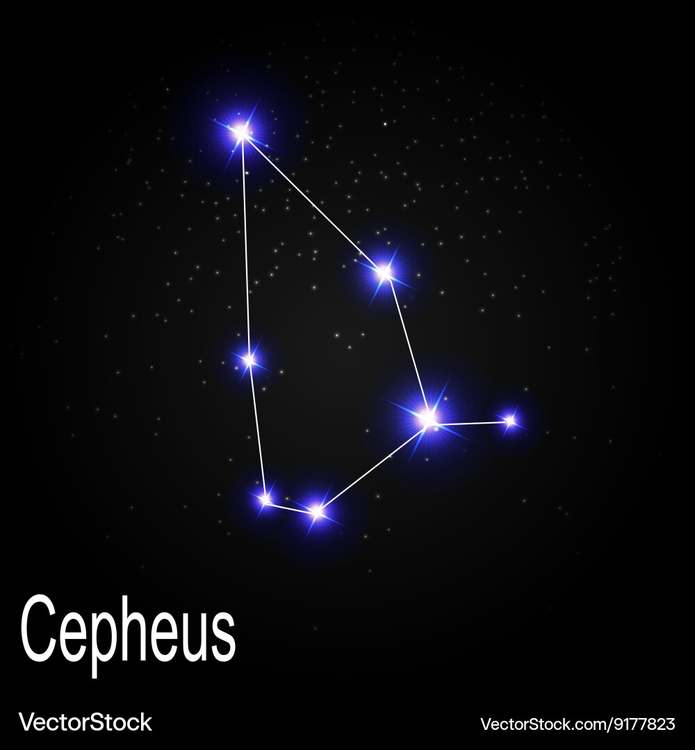 Cepheus constellation with beautiful bright stars Vector Image