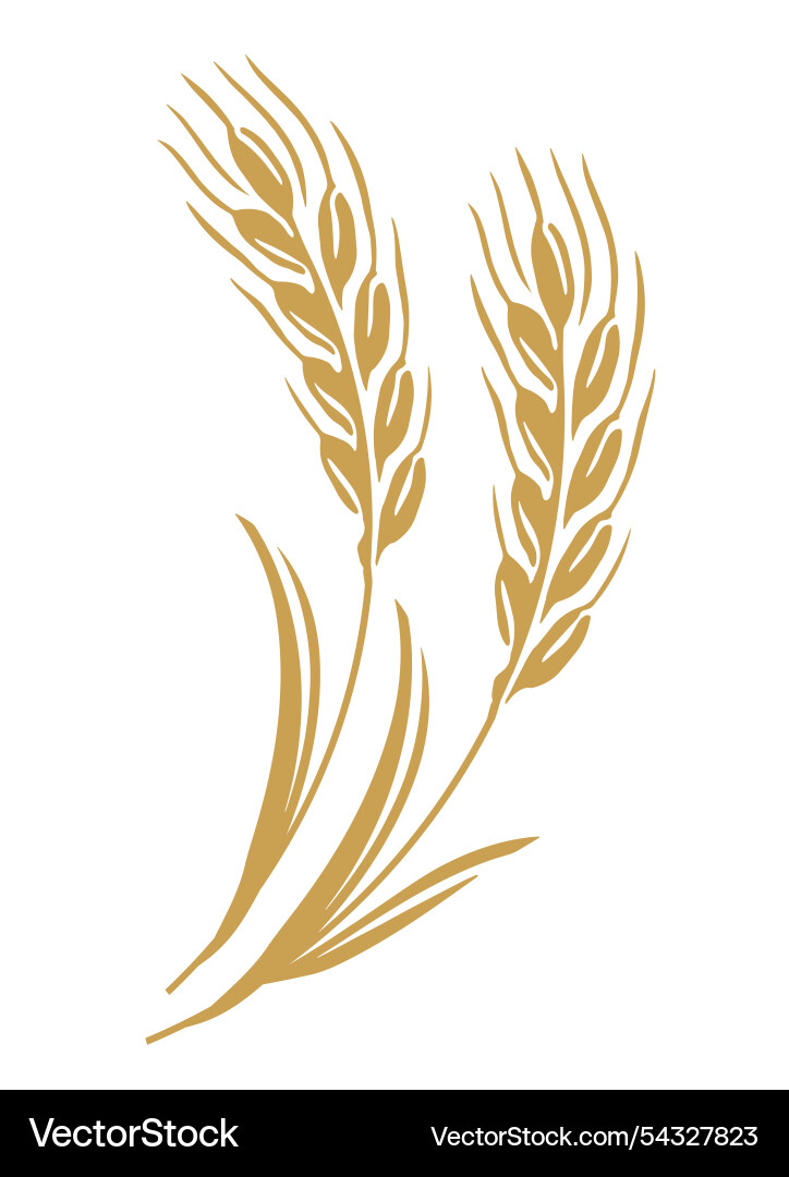 Wheat symbol grain stalks rye ears barley Vector Image