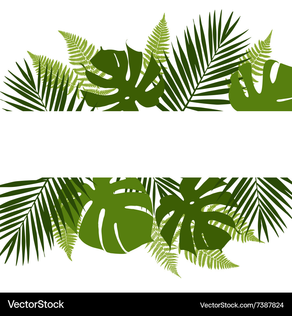 Tropical leaves background with white banner Vector Image