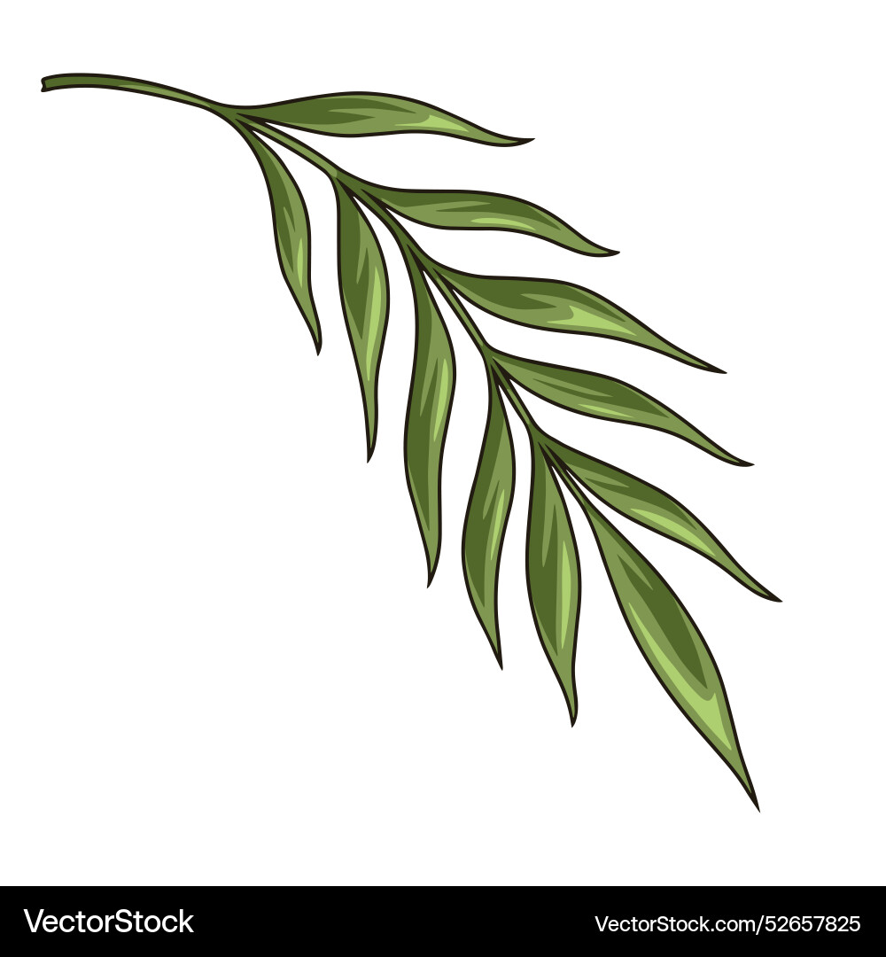 Willow twig detailed label green Royalty Free Vector Image