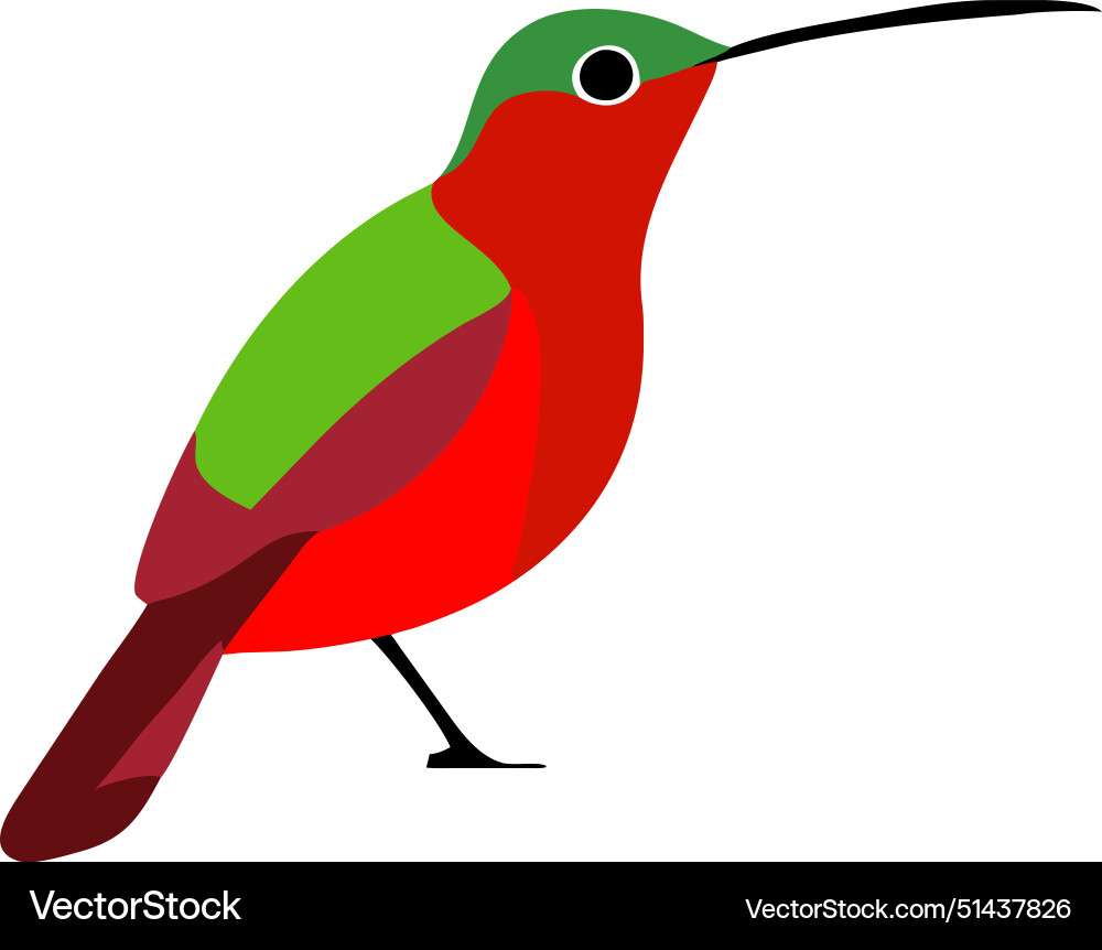 Allens hummingbird bird red icon Royalty Free Vector Image