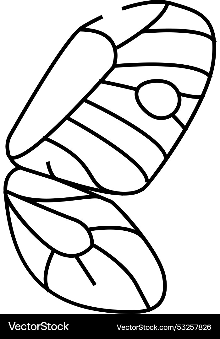 Butterfly wing line icon Royalty Free Vector Image